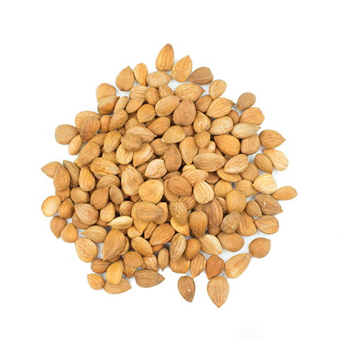 APRICOT KERNELS - RAW - Navino Foods